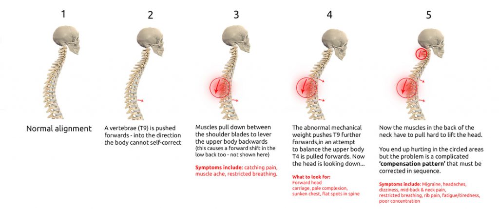 How ABC™ Is Different - True Healing & Wellness